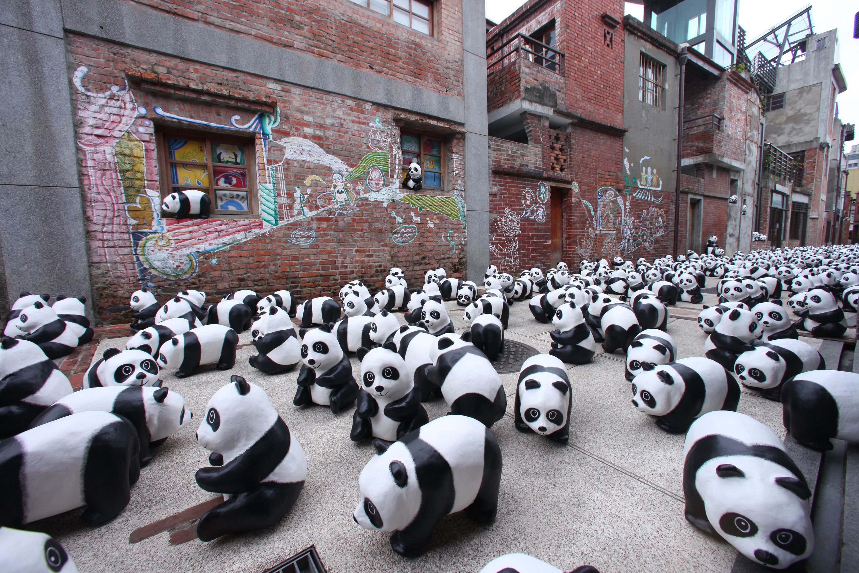 Le 1600 Pandas World Tour en vadrouille à Taiwan - Journey to Taiwan