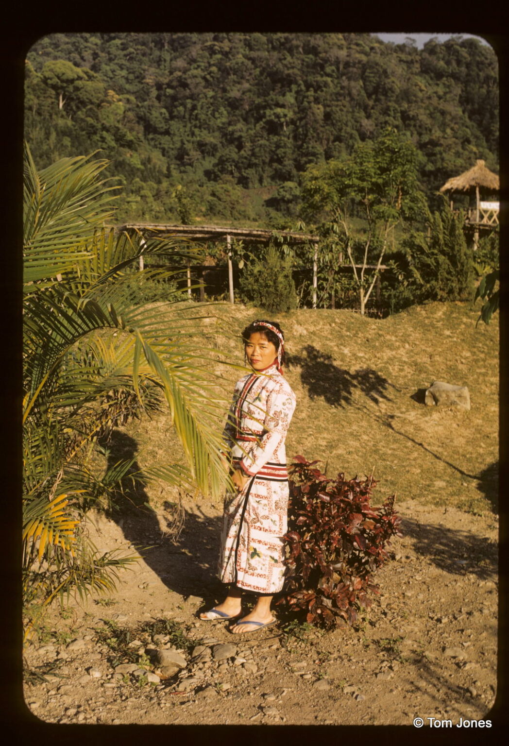 [Photos] Taiwan vu par Tom Jones (1957-1958) - Journey to Taiwan